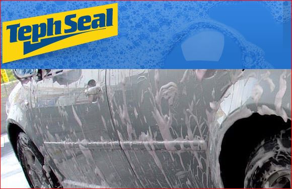 Detailer 510345 Flat Rate (Warner Robins, GA) | iCIMS Social Distribution